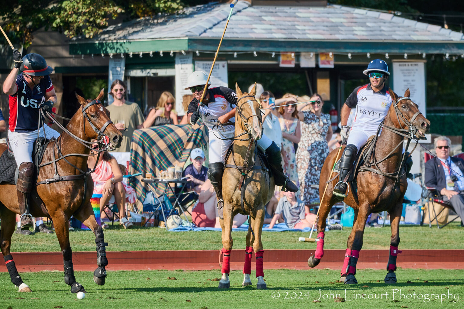 Newport Polo – America's First Polo Club