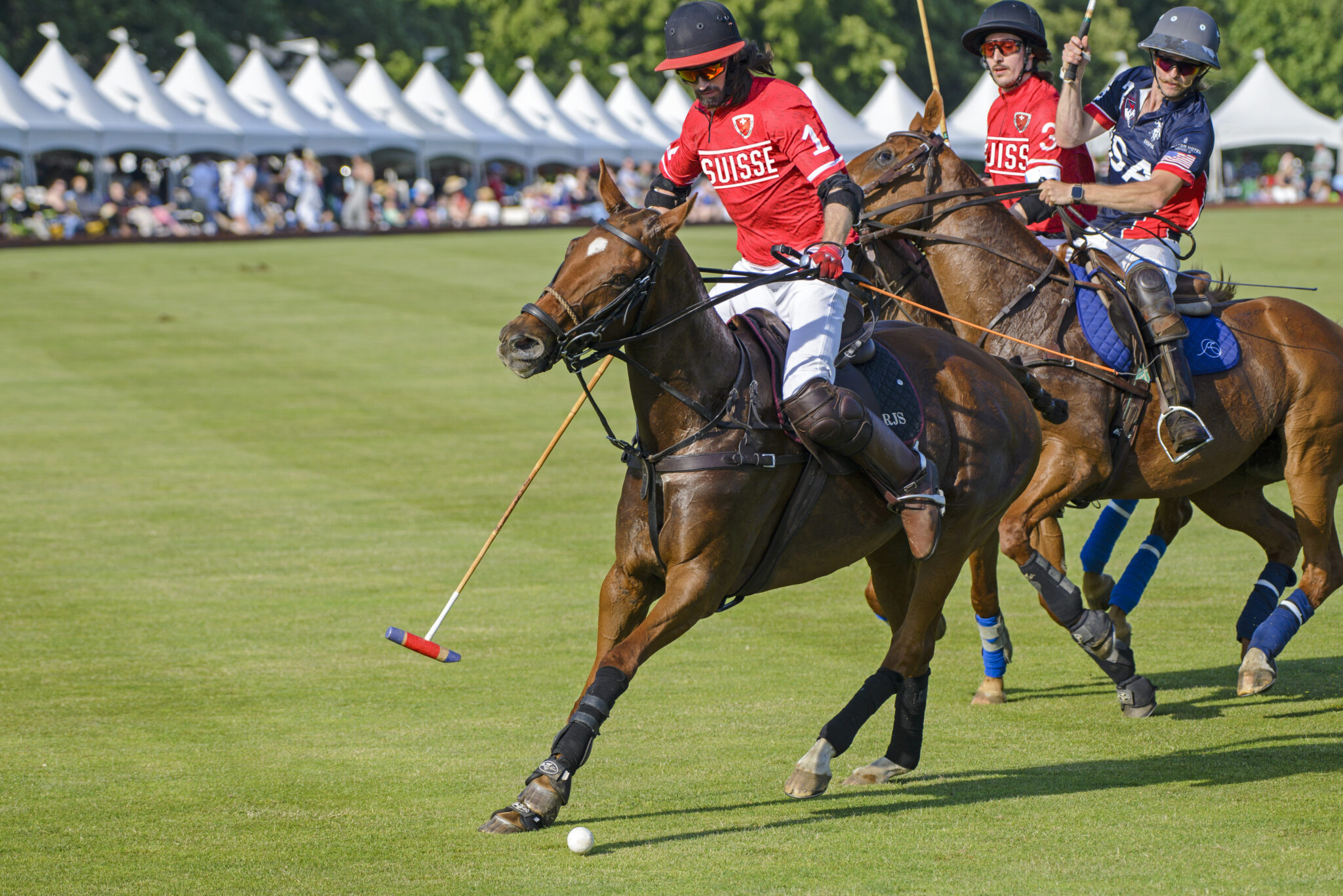 Newport Polo – America's First Polo Club