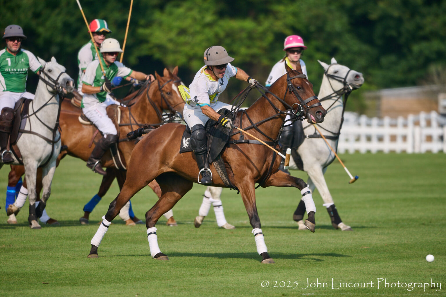 Newport Polo – America's First Polo Club