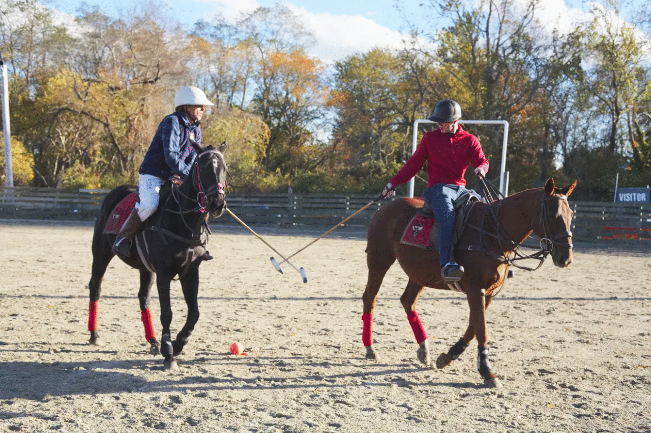 Newport Polo – America's First Polo Club